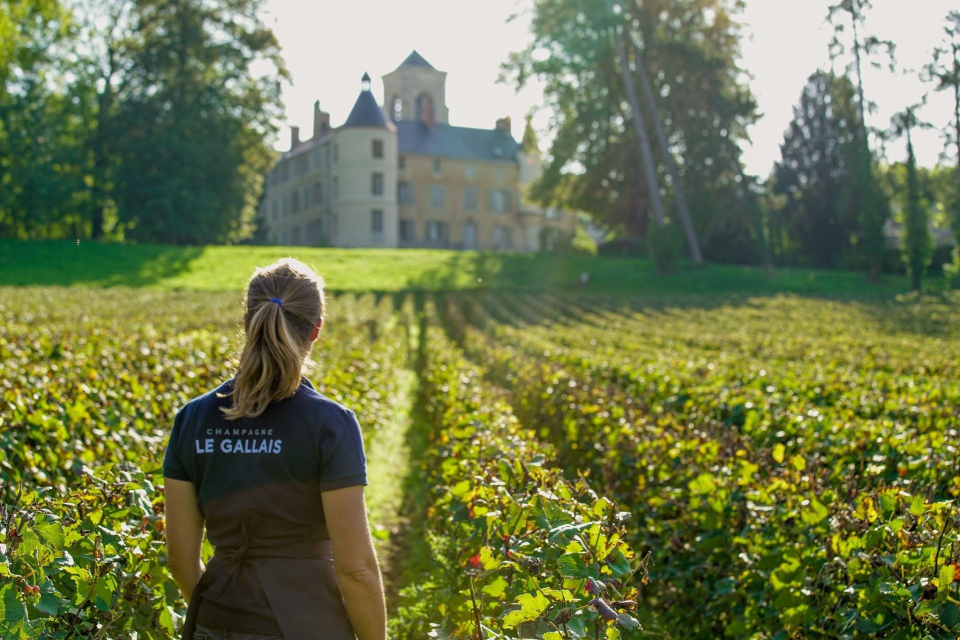 Champagne Le Gallais – Johnston Fine Wines