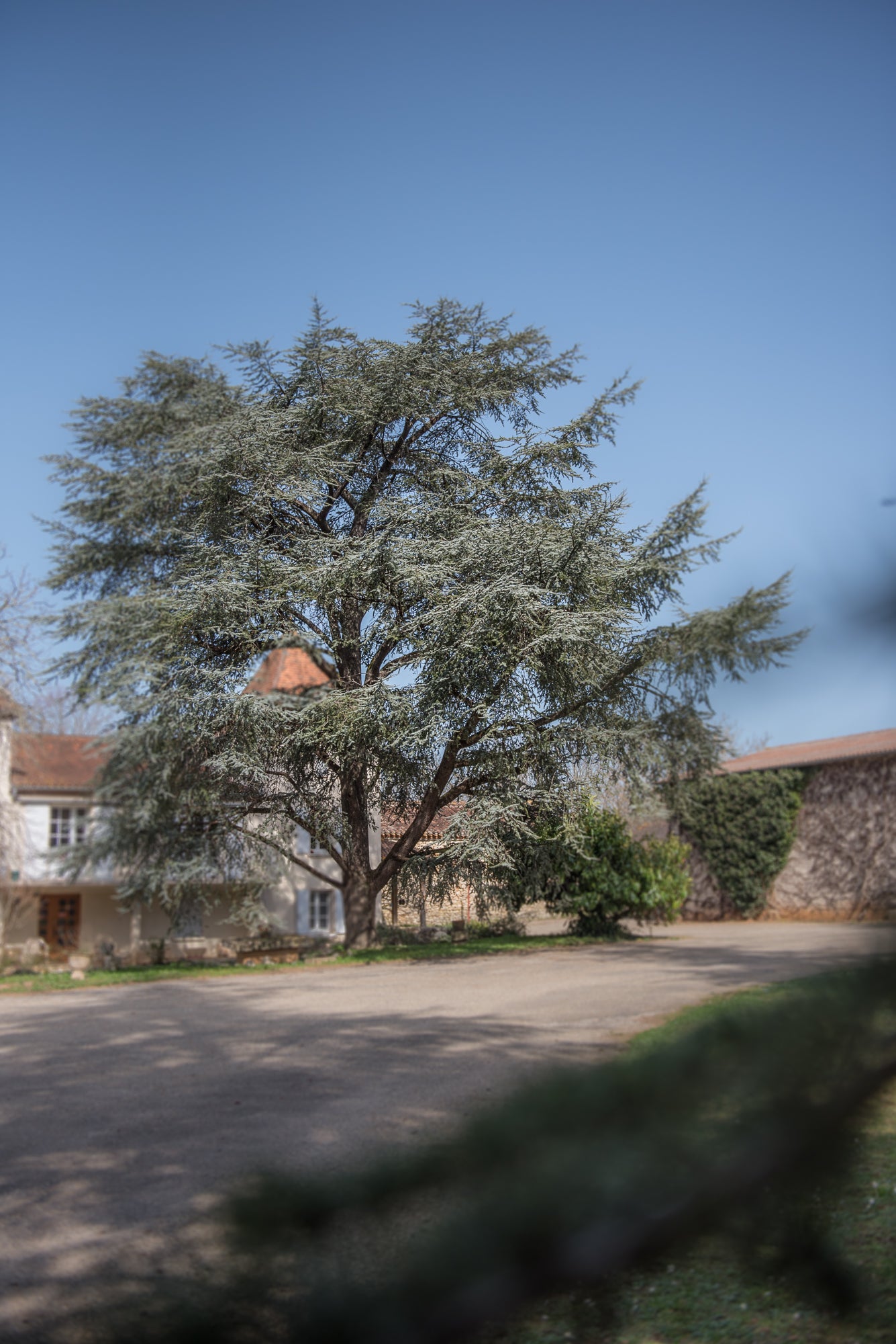 Château du Cèdre - Cèdre Héritage 2021 – Johnston Fine Wines