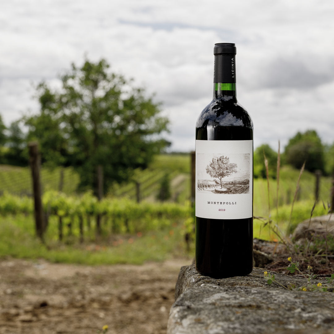 Tenuta Licinia - Montepolli 2019 – Johnston Fine Wines